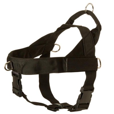 Samoyed Harness Nylon with Patches [H17##1115 Nylon harness with ...