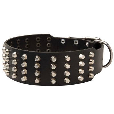 Extra Wide 4 Rows Studded Leather Samoyed Collar [S89##1115 Leather ...