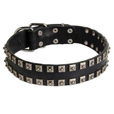 New Leather Samoyed Collar - Fashion Exclusive Design - Caterpillar ...