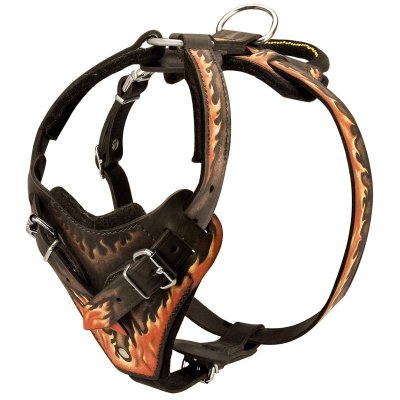 Handpainted in Flames Leather Samoyed Harness for Agitation Training ...