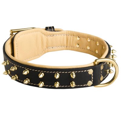 Royal Leather Samoyed Collar Spiked Padded with Nappa Leather [C447 ...