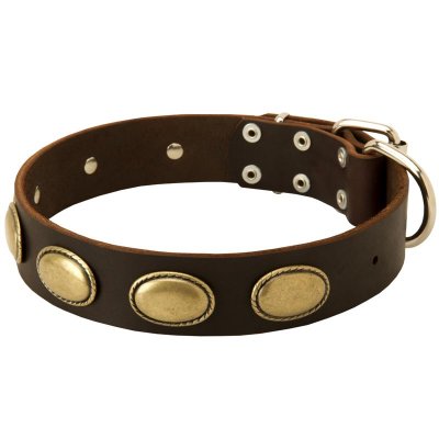 Designer Leather Samoyed Collar with Oval Plates [C103#1115 Leather ...