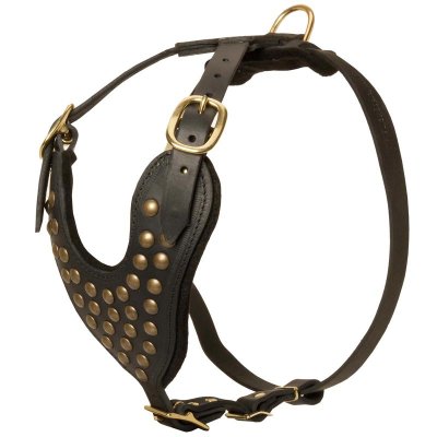 Adjustable Studded Leather Samoyed Harness for Fashion Walking [H15 ...
