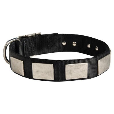 Nylon Samoyed Collar Massive Nickel Plates [C274#1115 Nylon Collar with ...